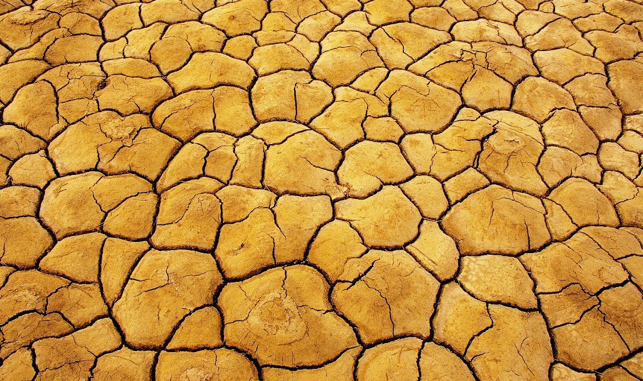 Drought | London Climate Ready Partnership London Climate Ready Partnership